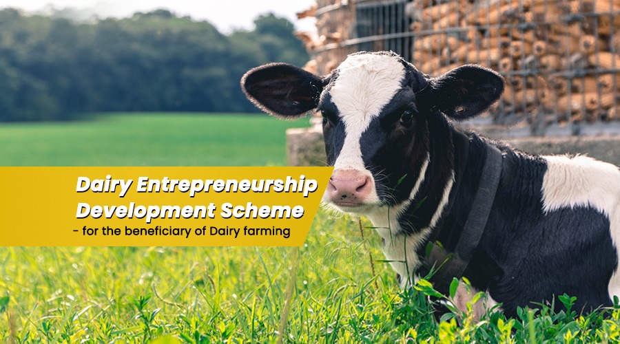 Government Schemes In India For Startups And MSME
